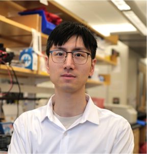 ARCTiC Rising Star Seminar – Yu Wang – ARCTIC Autophagy Research Centre ...